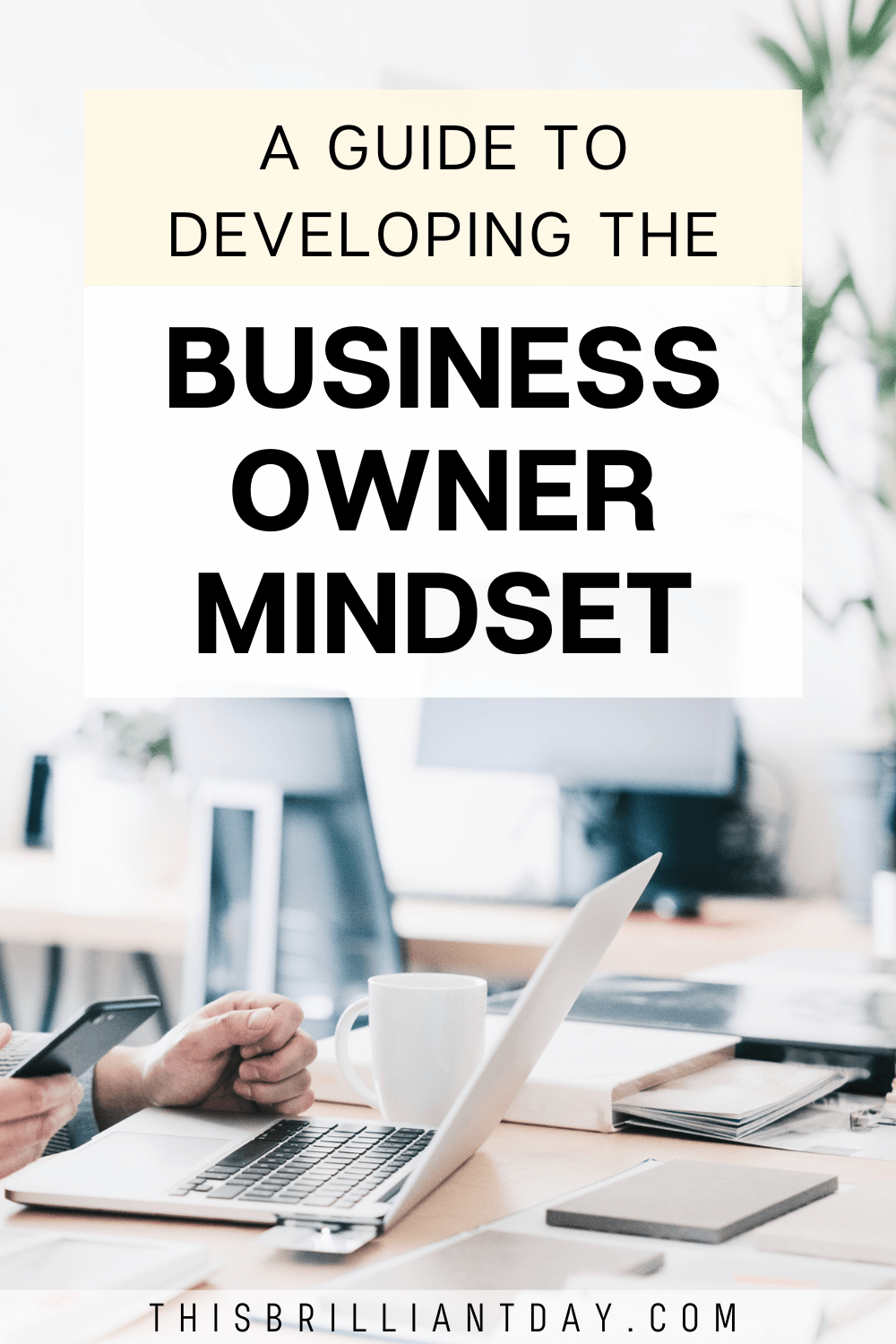 A Guide To Developing The Business Owner Mindset - This Brilliant Day