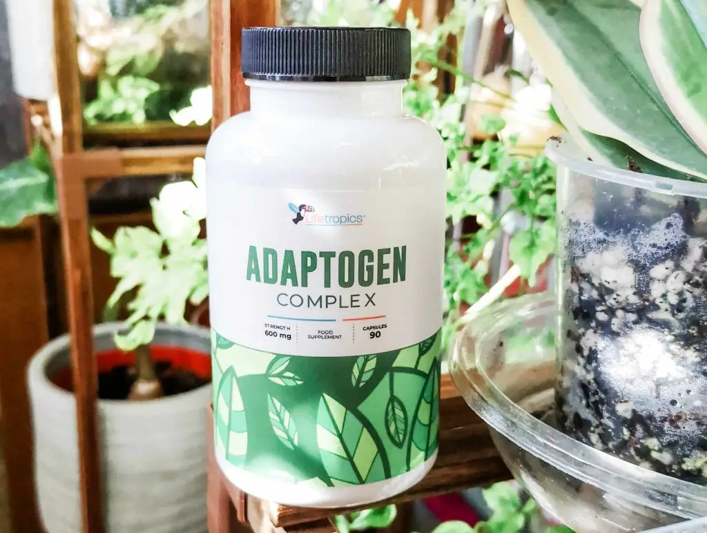 What Are Adaptogens and How Could Lifetropics Adaptogen Complex Benefit ...